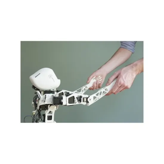 Poppy Humanoid Robot (with 3D parts)