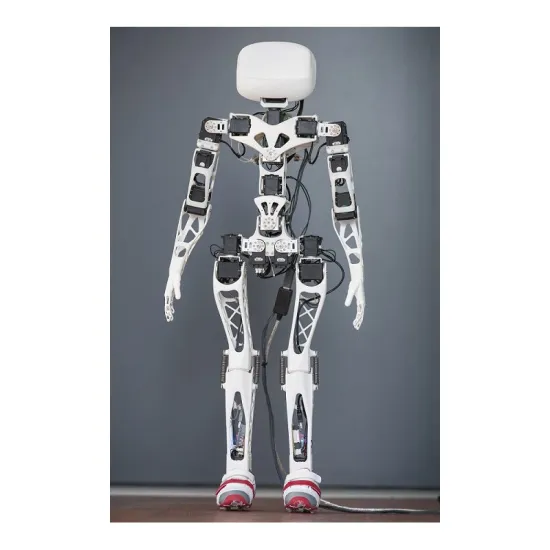 Robot Poppy Humanoid version Raspberry Pi (sans impressions 3D)