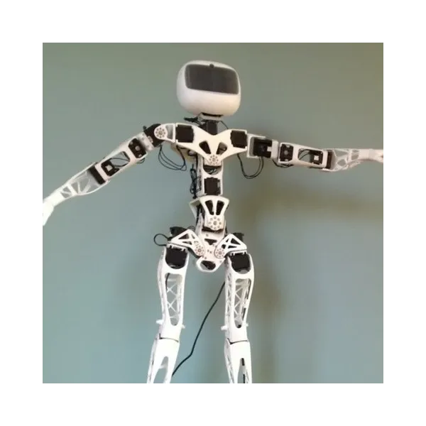 Poppy Humanoid Robot (without 3D printed parts)