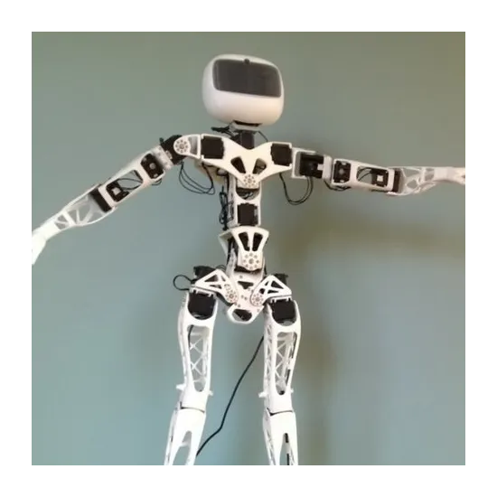 Robot Poppy Humanoid version Raspberry Pi (sans impressions 3D)