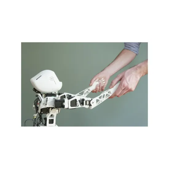 Poppy Humanoid Robot (without 3D printed parts)